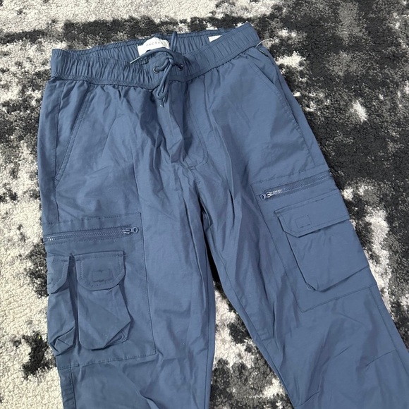 PacSun | Pants | Pacsun Blue Cargo Pants With Relaxed Fit | Poshmark